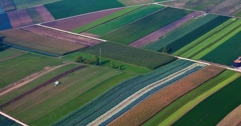 Land consolidation projects – GeoGIS